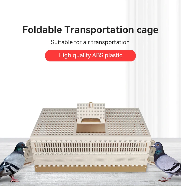 Plastic Pigeon Bird Transport Cage Box Abs Training Pigeon Flying ...