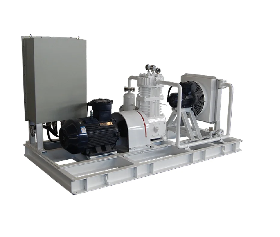 components of a natural gas compressor station compressed natural gas ...