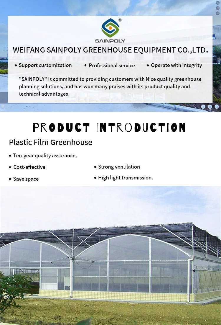 Sainpoly Tomato Greenhouse - Commercial Hydroponics Serre