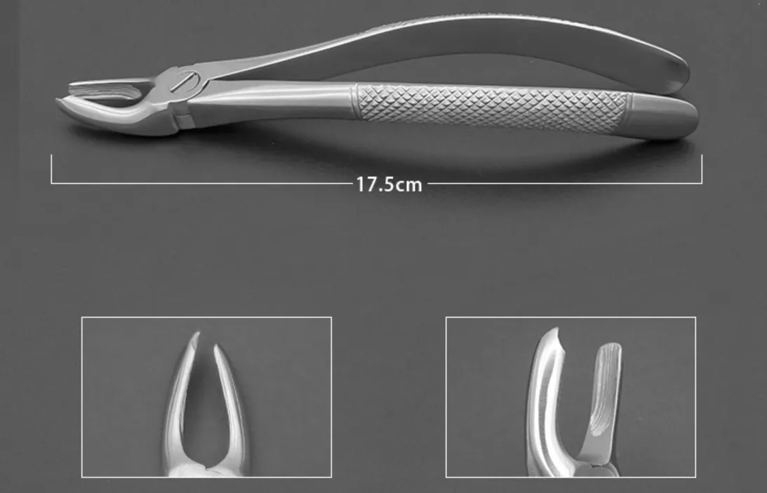 Stainless Steel Adult Extraction Forcep Dental Forceps Set| Alibaba.com