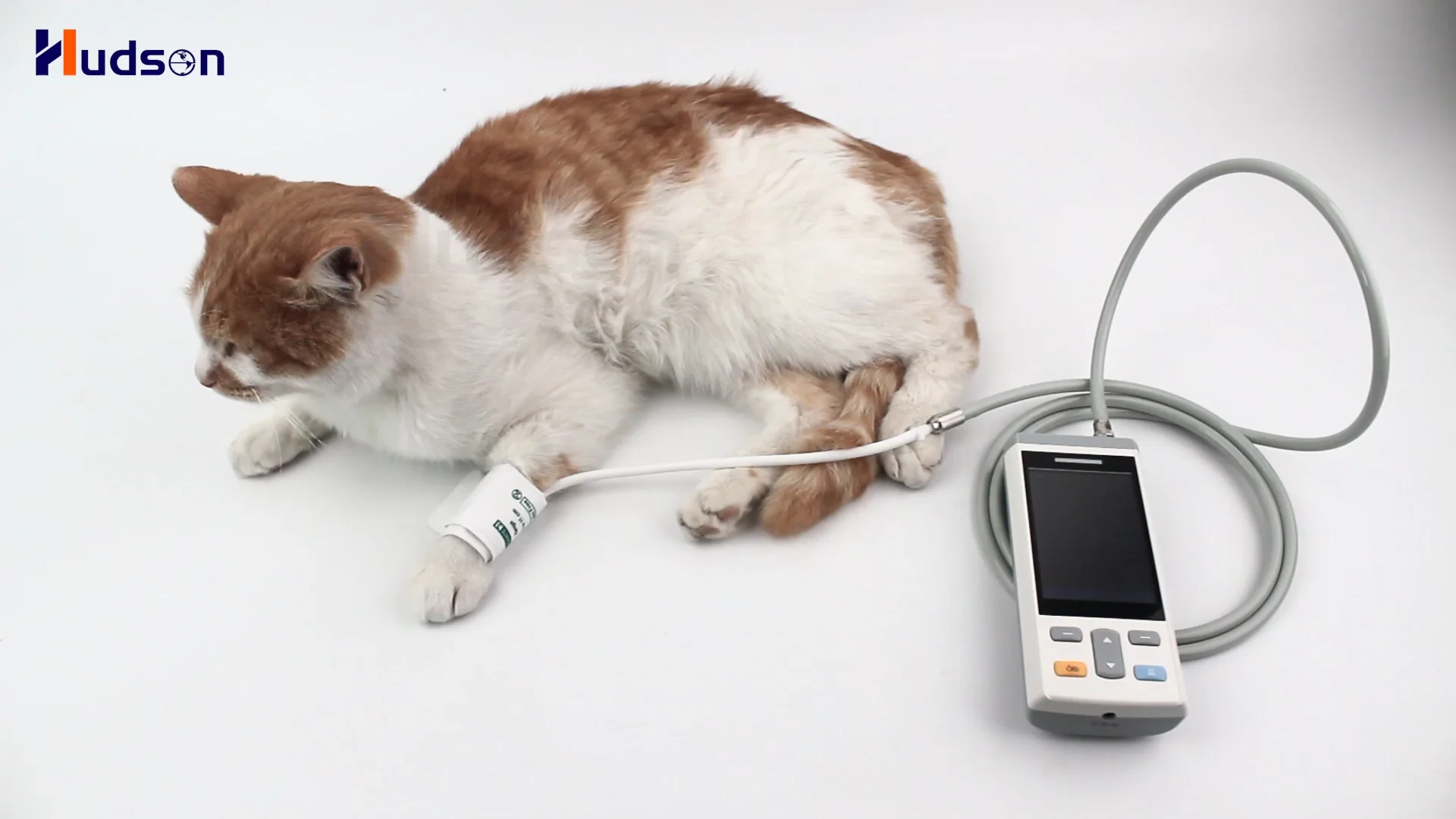 Veterinary Spo2 Heart Rate Capnograph Monitor Handheld Vital Signs ...