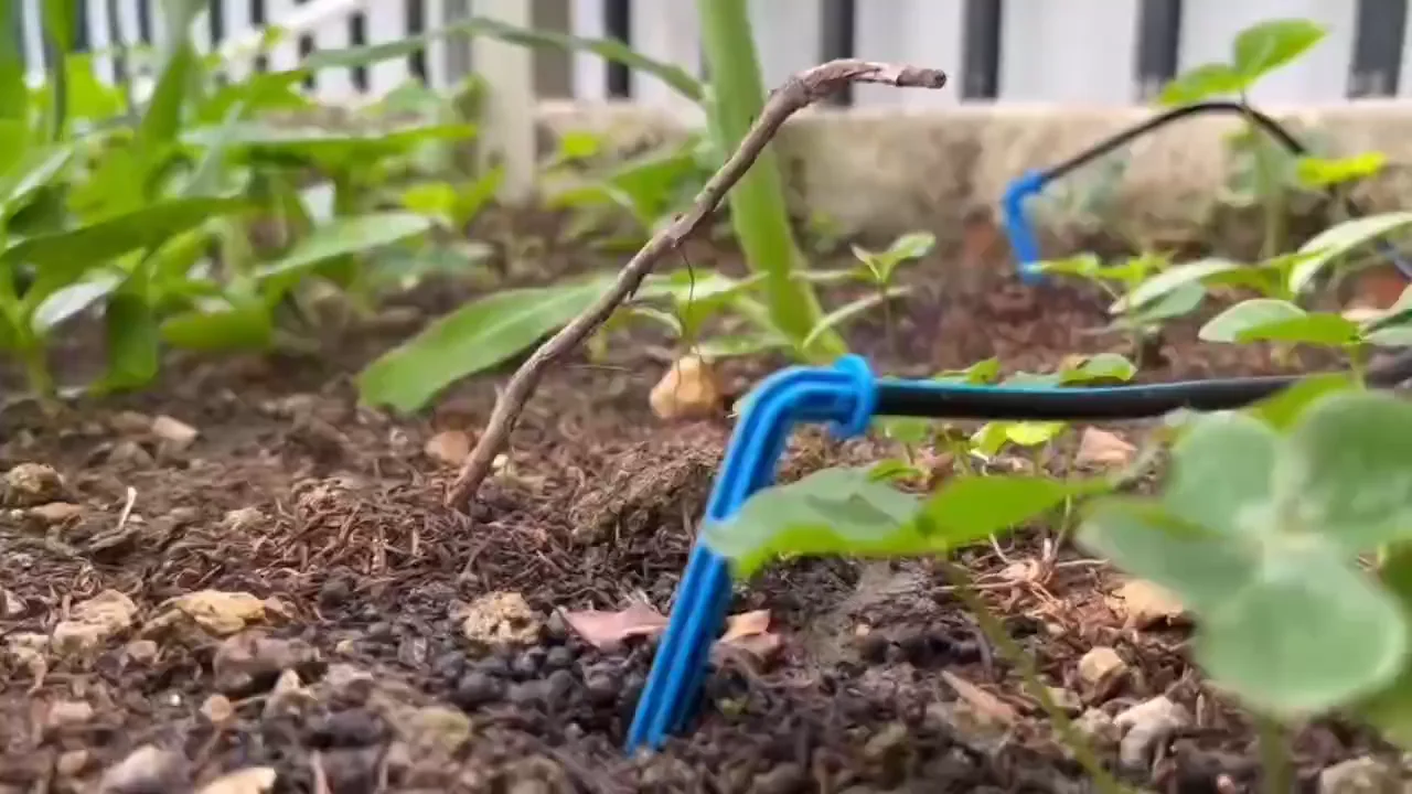 Garden Micro Irrigation Drip Emitter 4/7 Mm Hose Dripper Watering To ...