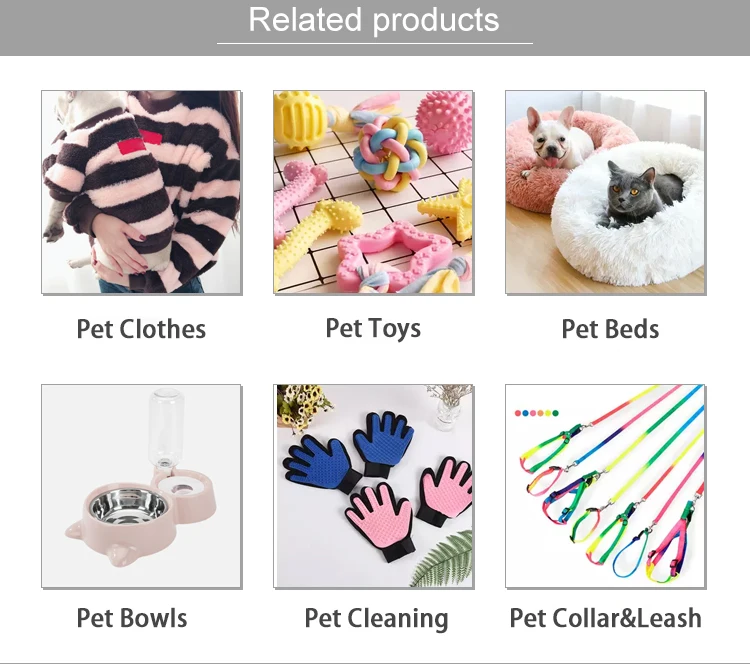 CSC Concentric Slave Cylinder / Bearing for Mitsubishi Peugeot OEM ...