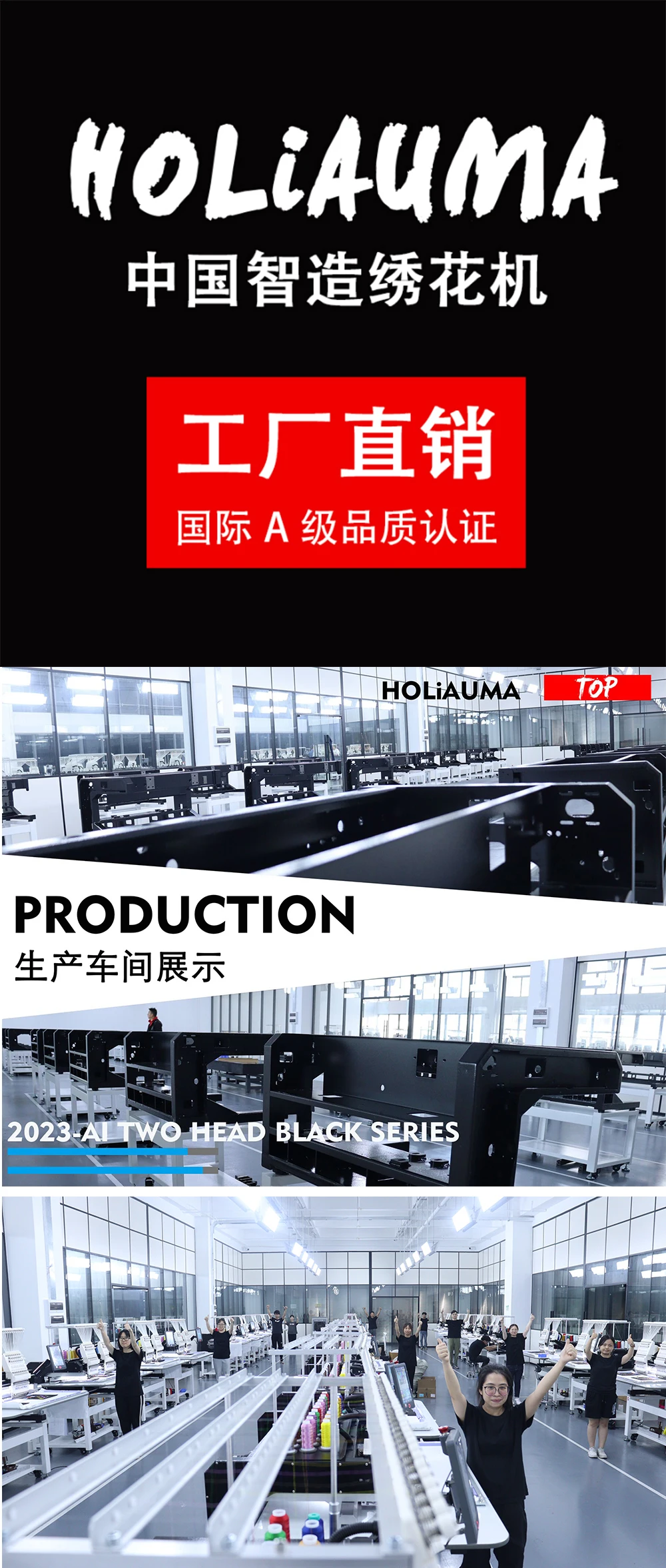 Professional Embroidery Machine Holiauma Multi Function Computerized ...