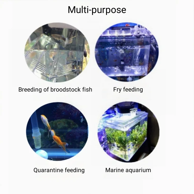USMILEPET New Arrival Plastic External Breeding Isolation Box with ...