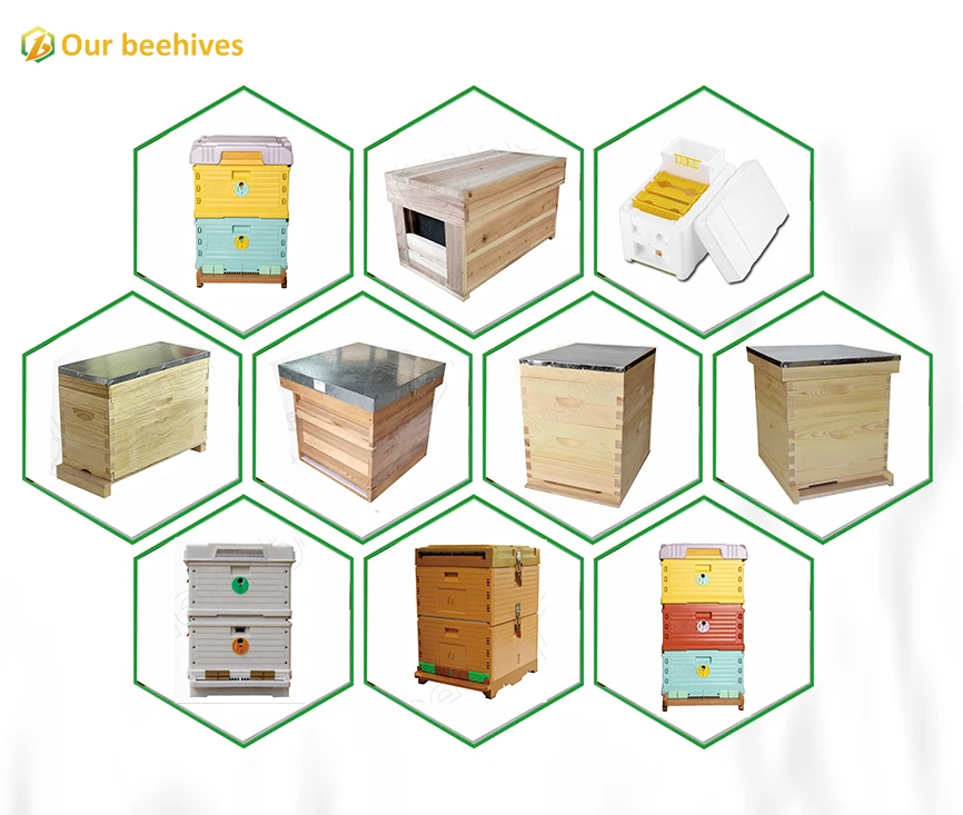 Benefitbee Eps Foam Queen Bee Box Mini Mating Nuc Beehive | Wholesale