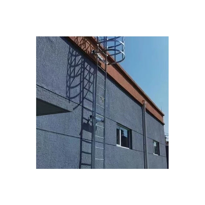 Custom Outdoor Vertical Step Cage Cat Ladder Industrial Fixed Rooftop ...