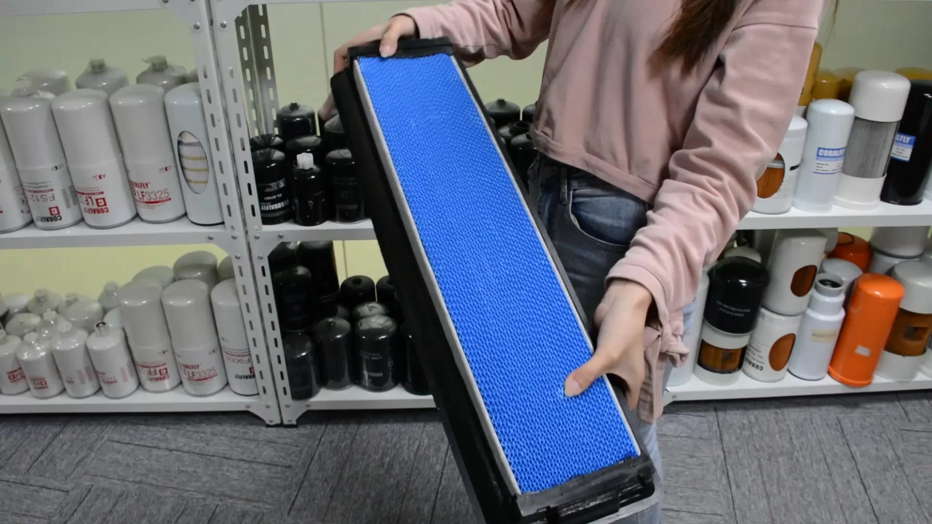 Truck Air Filter P621725 P637453 Laf6725 P621 725 For Freightliner ...