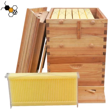 Honey Flowing Automatic Bee Hive Box Auto Flowing Bee Hive For Sale ...