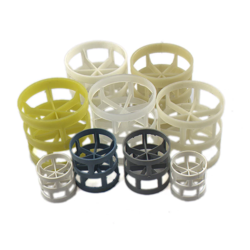 PPH Plastic Pall Ring for Tower Packing – Customizable OEM/ODM