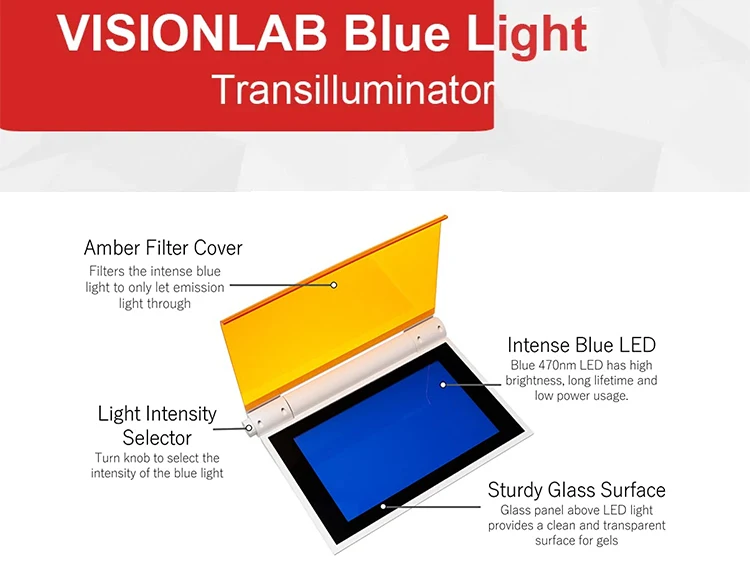 Laboratory Gel Electrophoresis Blue Light Transilluminator