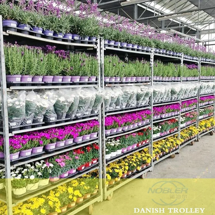 Danish Trolley Shelves Display Flower Trolley Greenhouse Flower Nursery ...