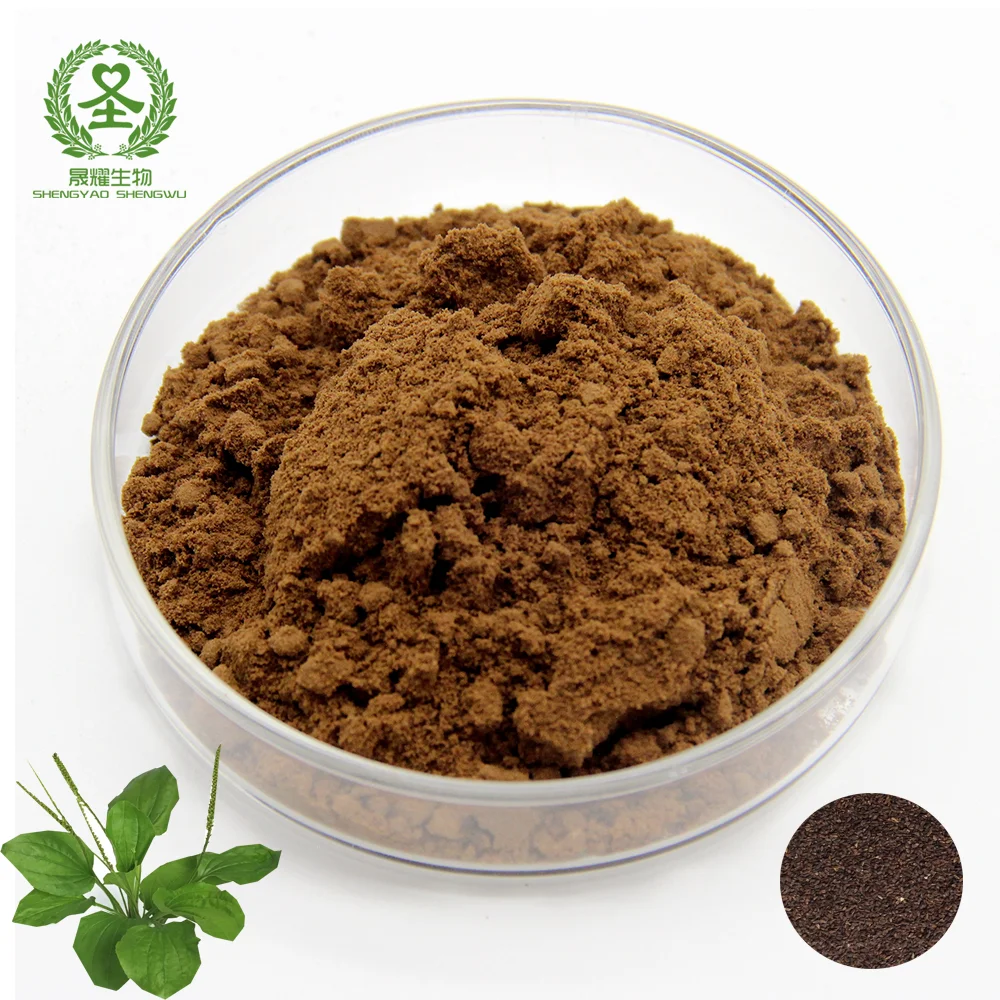 Best-selling Natural Organic Plant Extract Plantain Seed Extract Powder ...