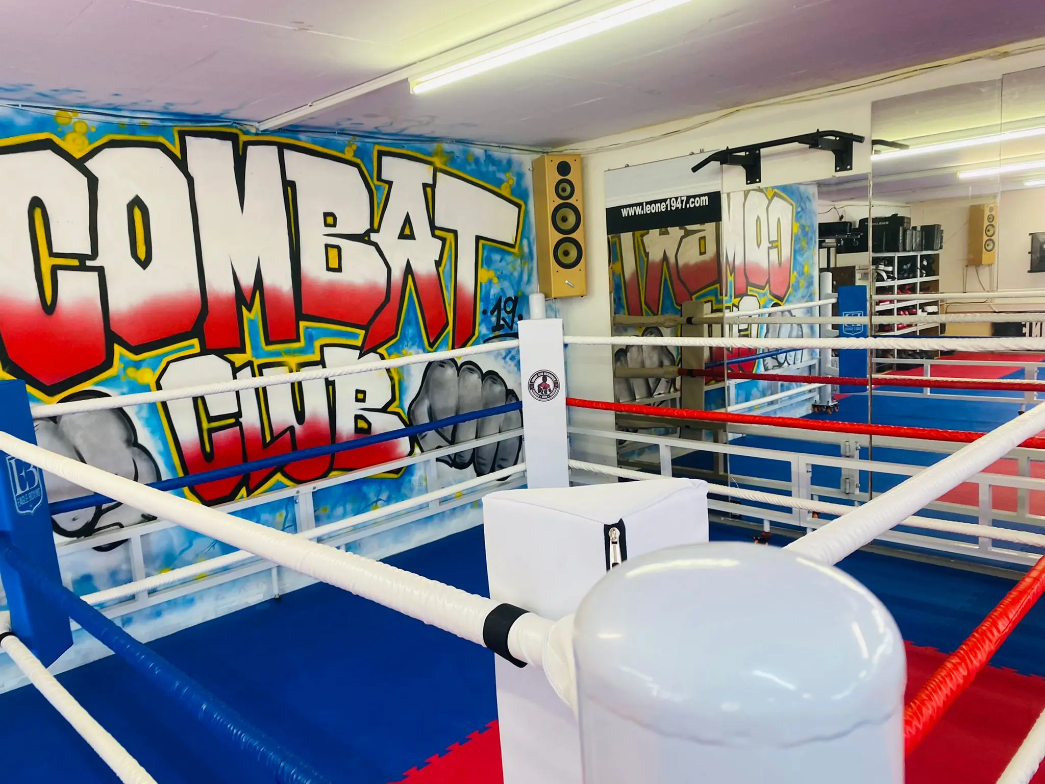 Good Quality Mma Floor Boxing Ring & Professional Stage Elevated Type ...
