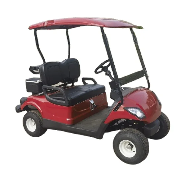 2 Seater Electric or Gasoline Power Golf Carts - Fun & Convenience