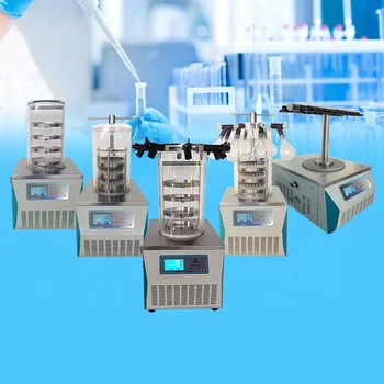 Laboratory Mini Liofilizator Vacuum Freeze Drying Machine Small Freeze ...