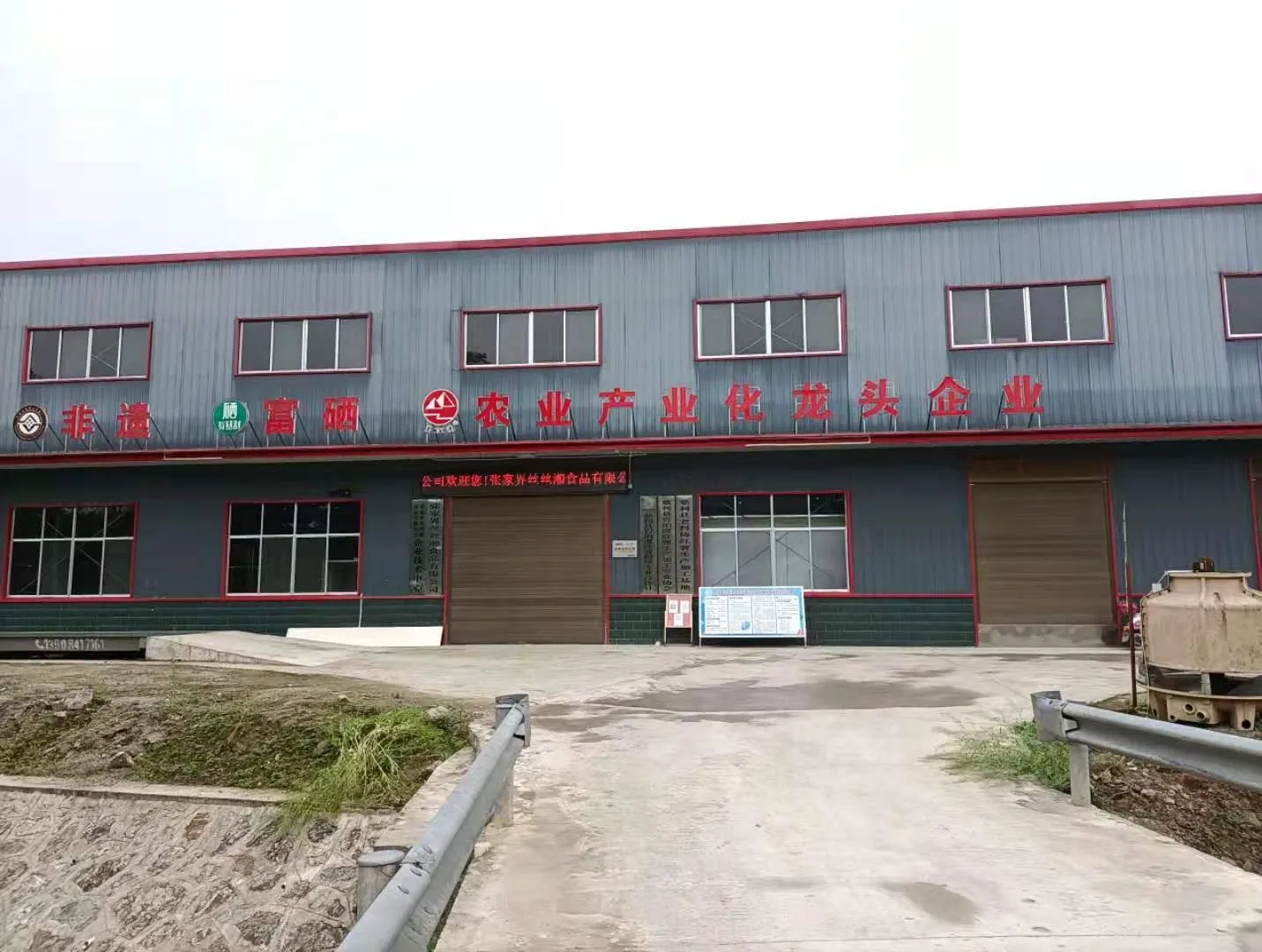 Company Overview - Zhangjiajie Filar Silk Hunan Food Co., Ltd.