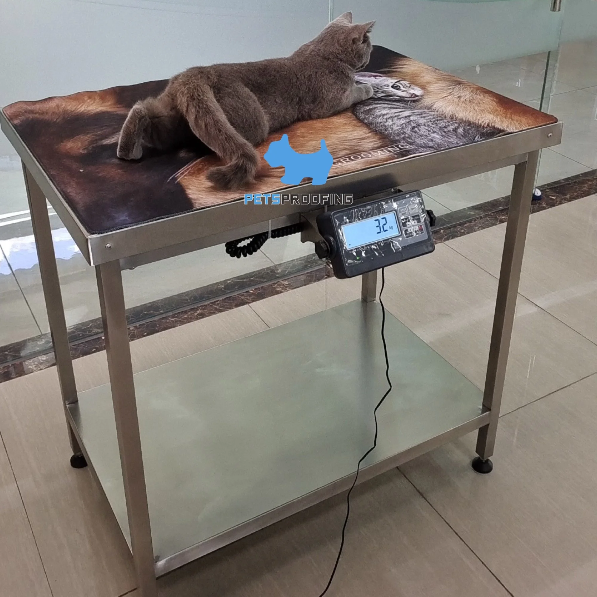 Multifunctional Table Top Weighing Scale Veterinary Instrument Pet ...