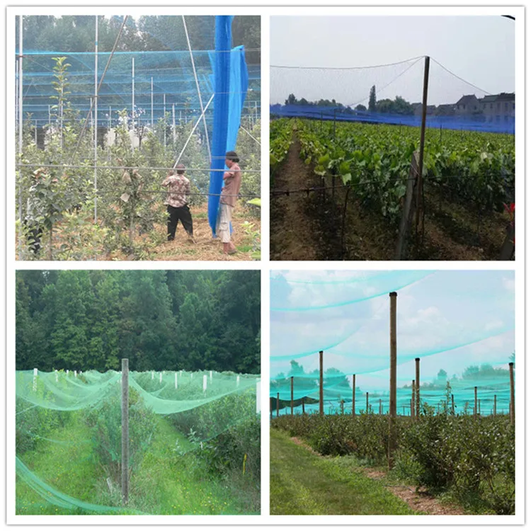 Professional Design Pe Knotless Bird Mesh For Farm - Buy Factory Supply ...