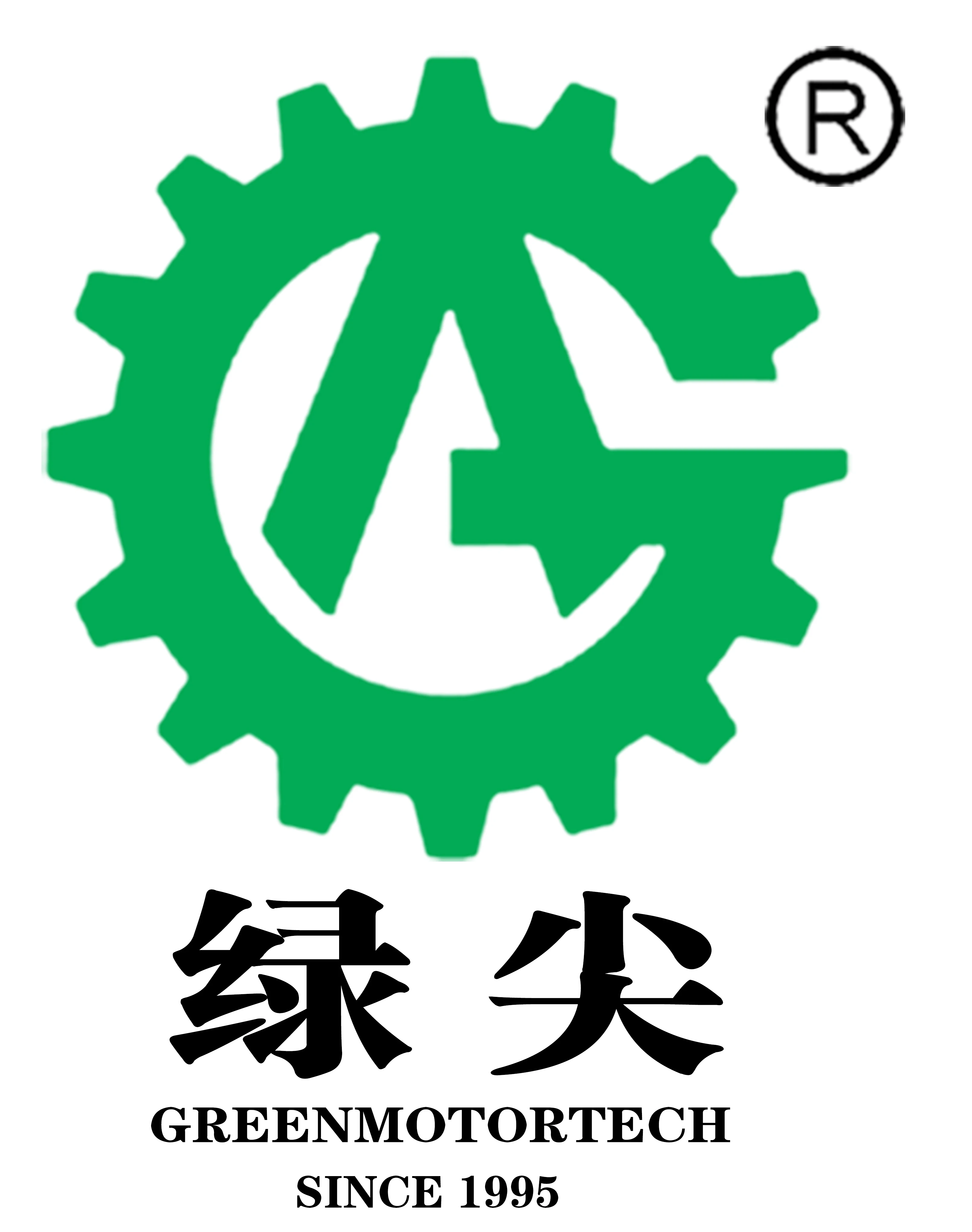 Company Overview - Foshan Shunde Green Motor Technology Co., Ltd.