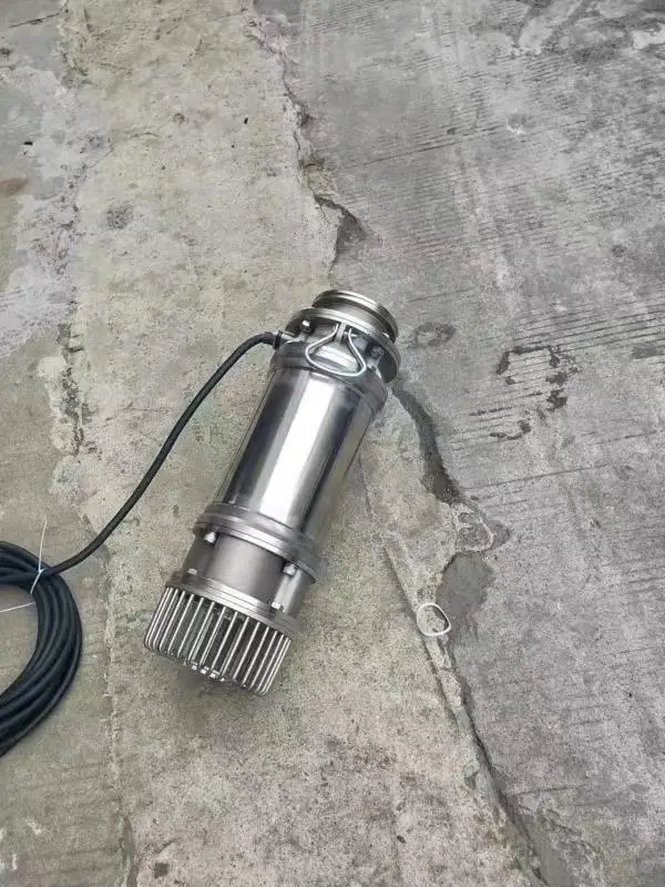 Kaiyuan Qbw Submersible Seawater Pump With Control Panel Amphibian Pump ...