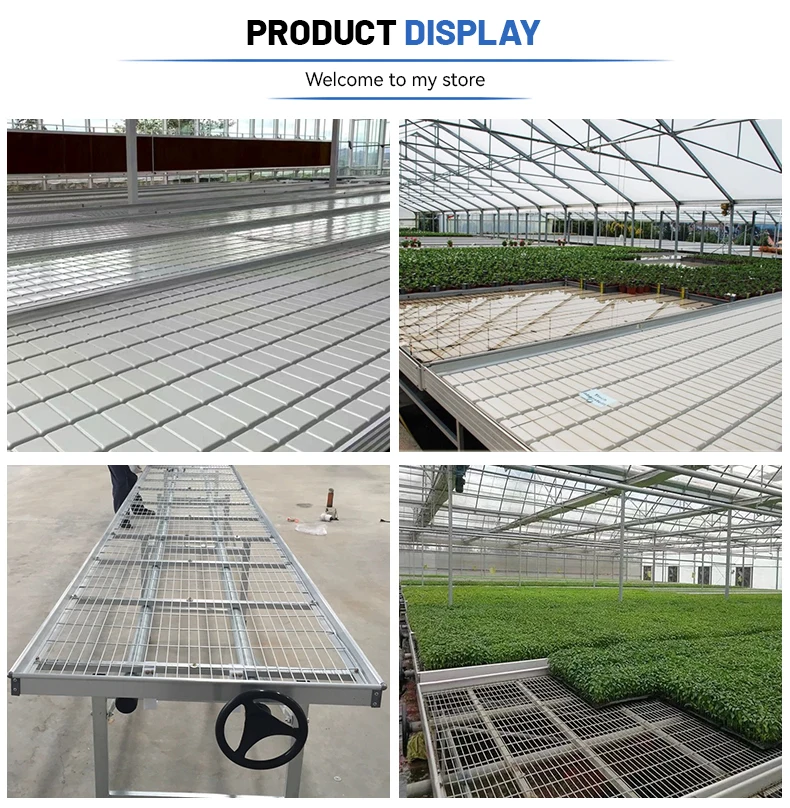 Greenhouse Hydroponic Heavy Duty Ebb and Flow Benches Grow Table ...