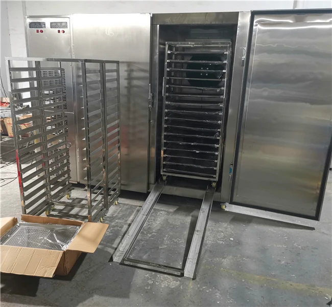 Frostplunge Chiller: Immersive Shock Freezing Technology,Ensures Food ...