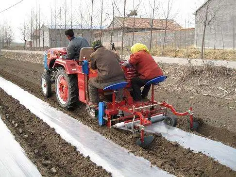 New Sweet Potato Planter Machine with Bearing High Productivity Farm ...
