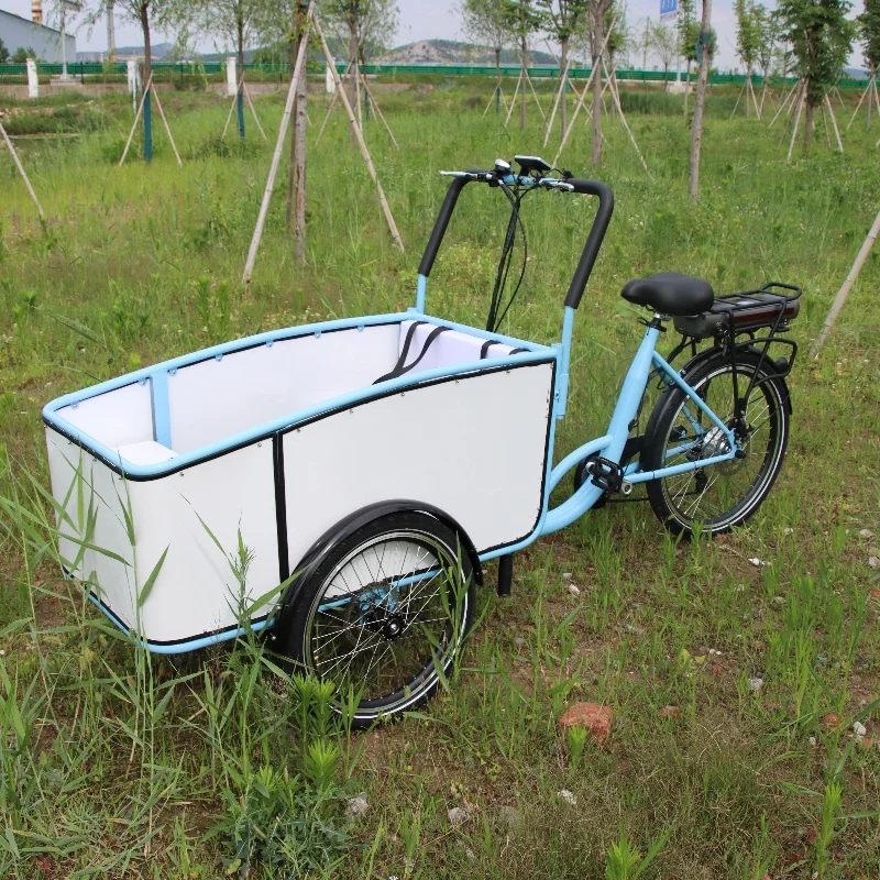 Dutch Electric Bakfiets - Efficient Cargo Bike Solutions