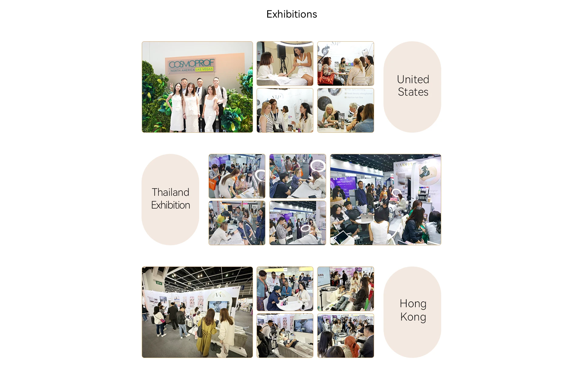 Company Overview - Cheng-ying VA International Ltd.