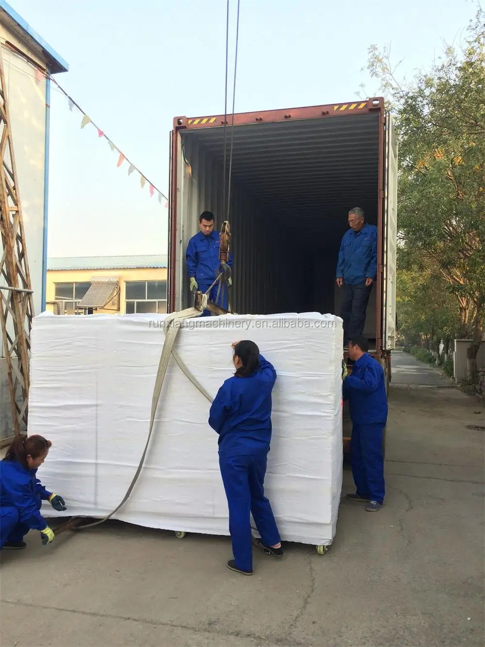 250kg/day Bean Sprout Growing Machine/sprouts Growing Equipment ...