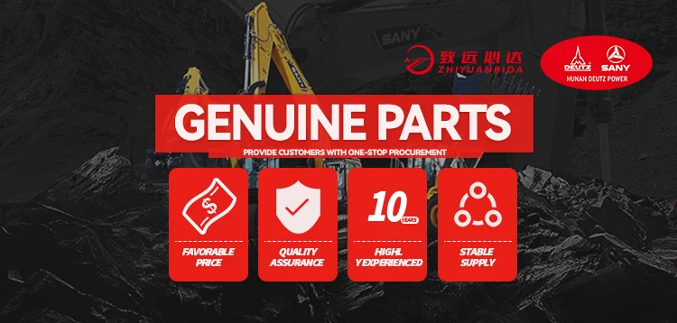 Sany Excavator Oil Filter 60273112 - High Efficiency