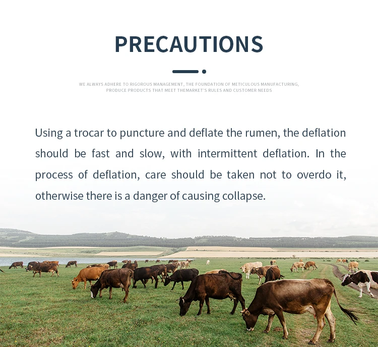 Animal Husbandry Tool Cow Nipple Puncture Needle for Milk Passing ...