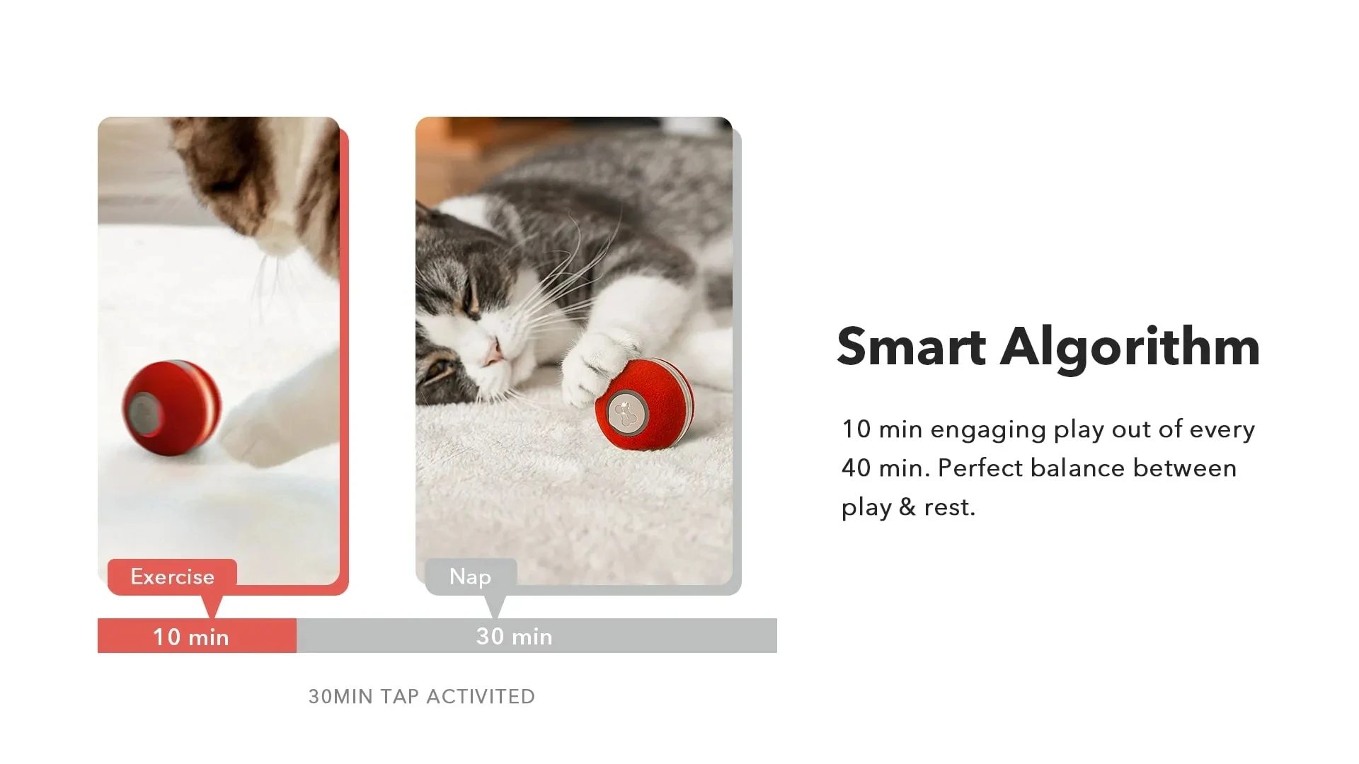 Cheerble Ball M1 - Smart & Interactive Pet Toy for Cats