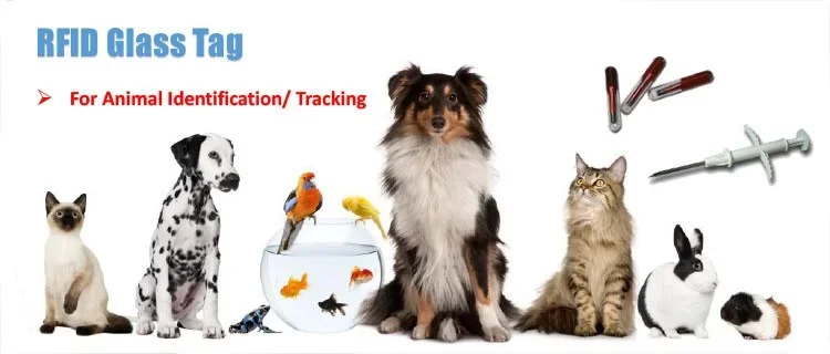 Injectable Animal Tracking Microchip Pit Pet Id Rfid Nfc Dog Microchip ...