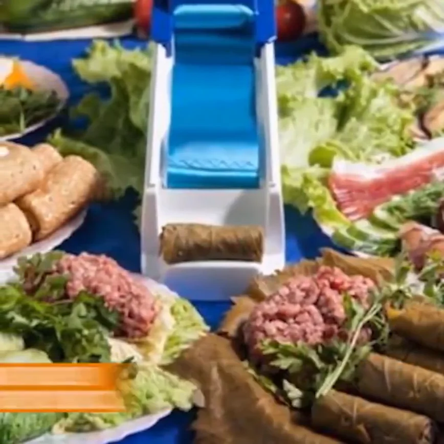 Multifunction Kitchen Helper Meet And Vegetable Spring Rolls Tools ...