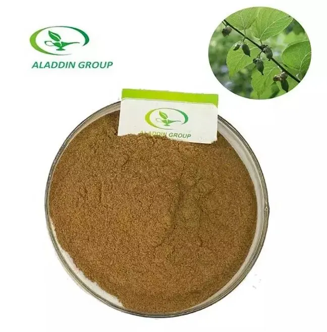 Silvervine Powder Cat Toys Silvervine Matatabi Gall Extract Plant ...