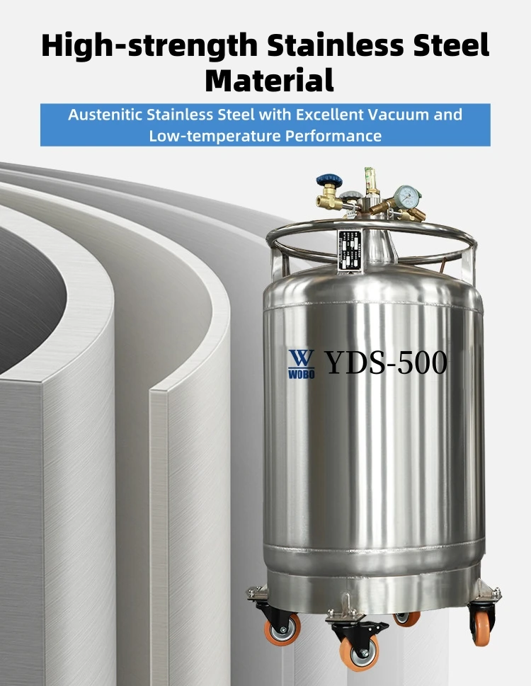 500L Stainless Steel Tank for Liquid Nitrogen Pressure Vessel