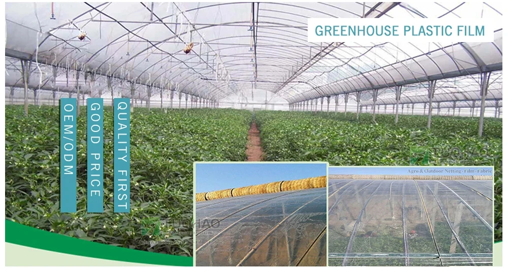 High Strength Commercial Agricultural Farm Poly Tunnel Green House ...