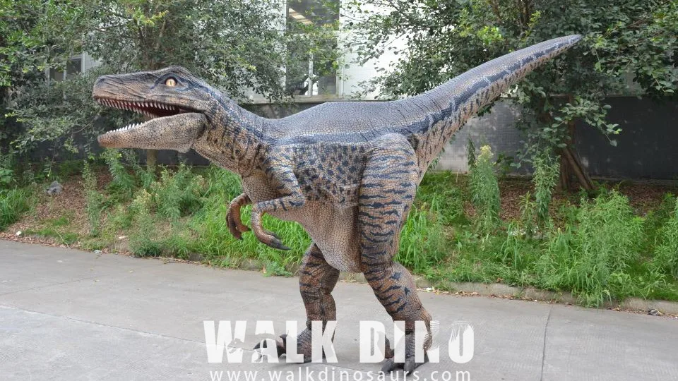 Amusement Park Velociraptor High Quality Artificial Raptor Adult ...
