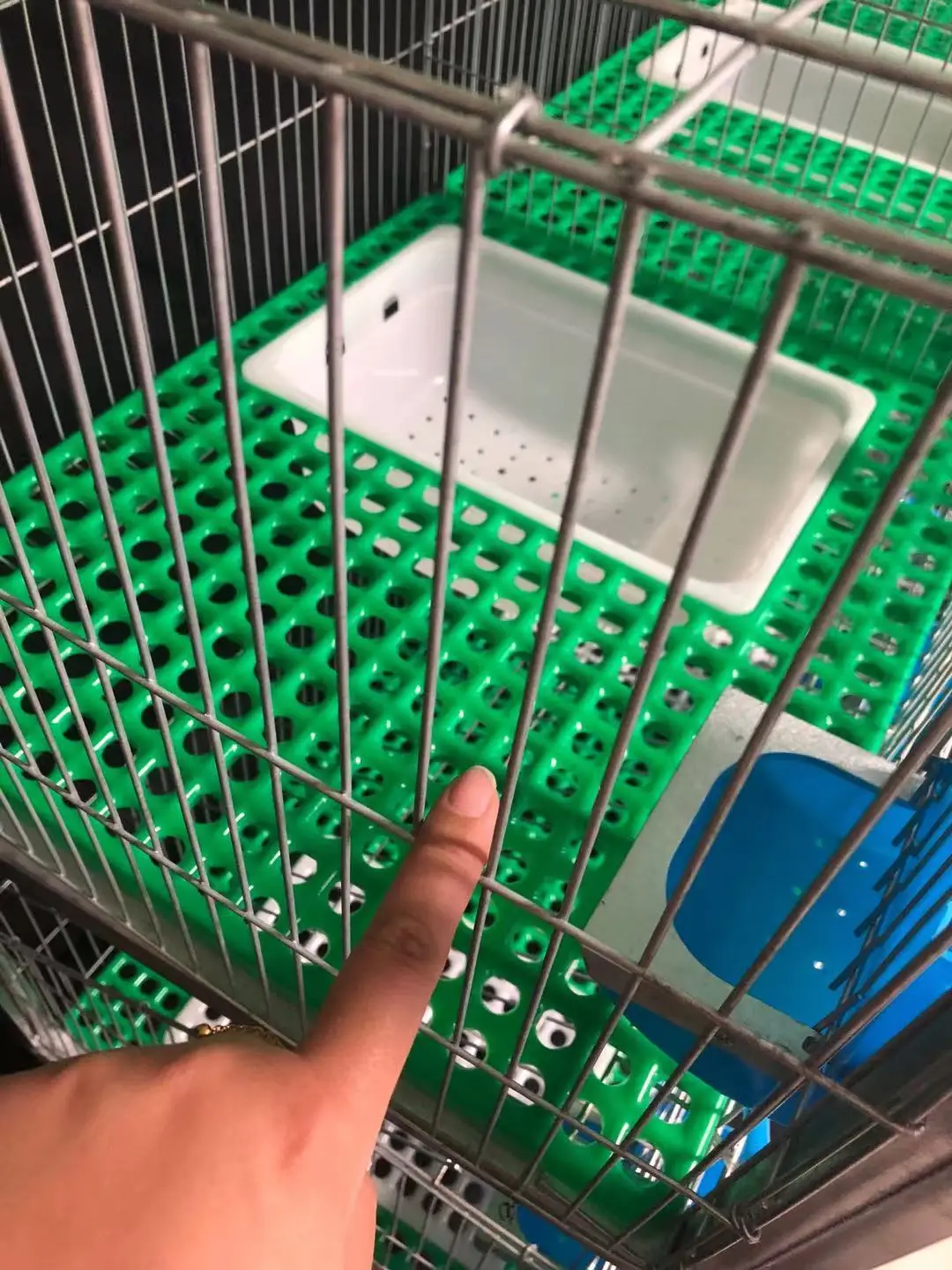 Rabbit Nest Box with Plastic Slatted Flooring for Cages