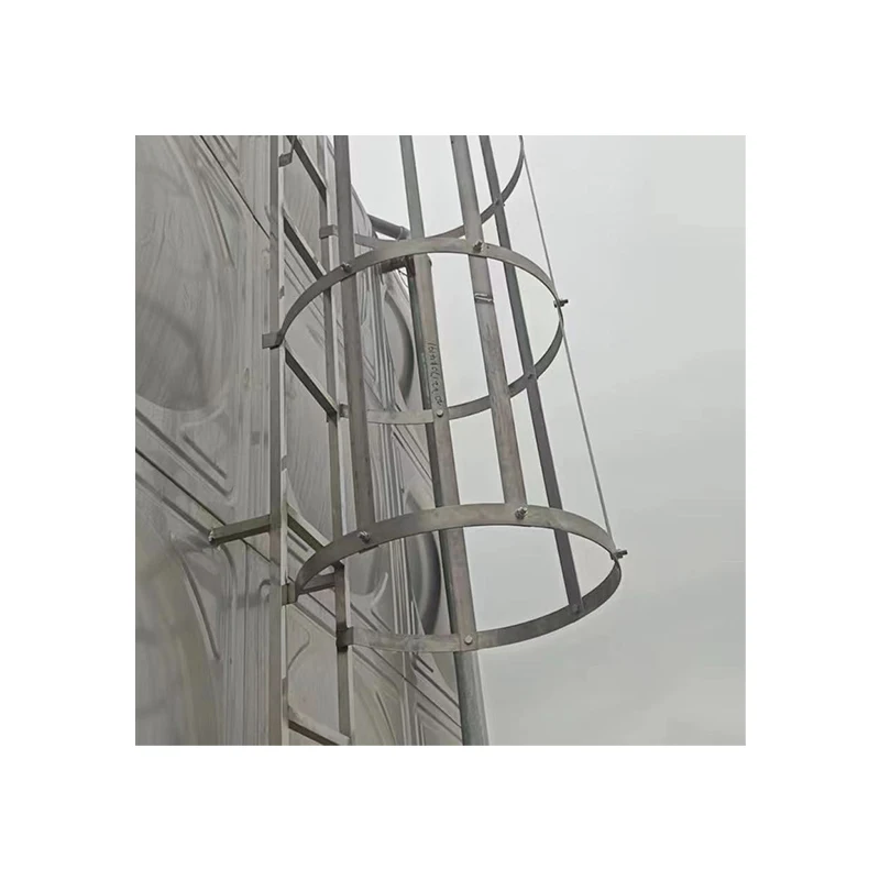 Galvanized Steel Safety Cat Cage Ladder With Safety Cage - Buy ...