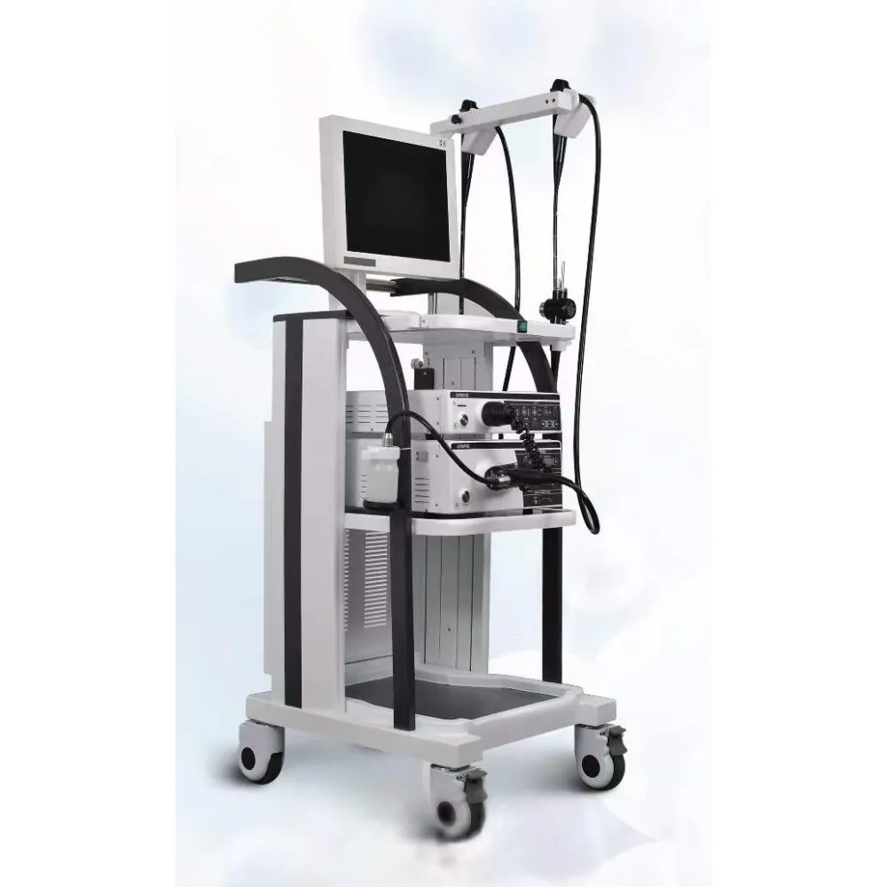Gastroscope and Colonoscope - Advanced Gastrointestinal Endoscopy System