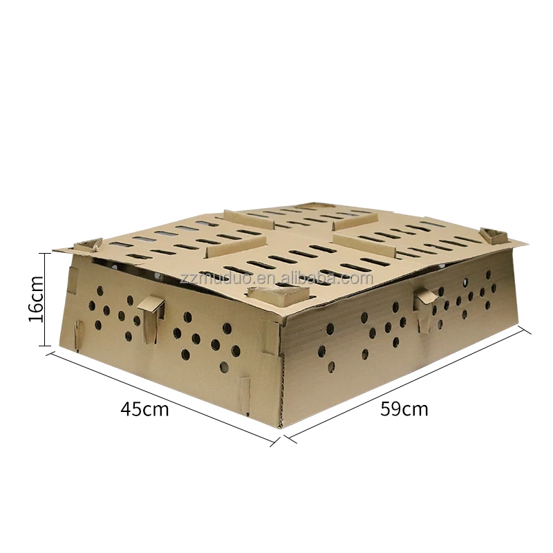 Day Old Chicks Transport Carton Cage - Eco-Friendly, H Type Poultry ...