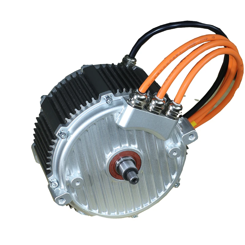 1.5kw to 15kw BLDC Motor Smart Drive Motors for EV Conversion