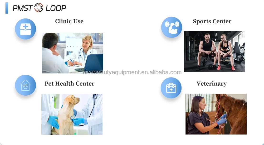 PEMF Human and Horses Pulsed Electromagnetic Field PMST LOOP PRO MAX ...