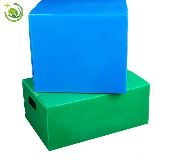 Folding Coroplast Archive Box - Customizable & Durable