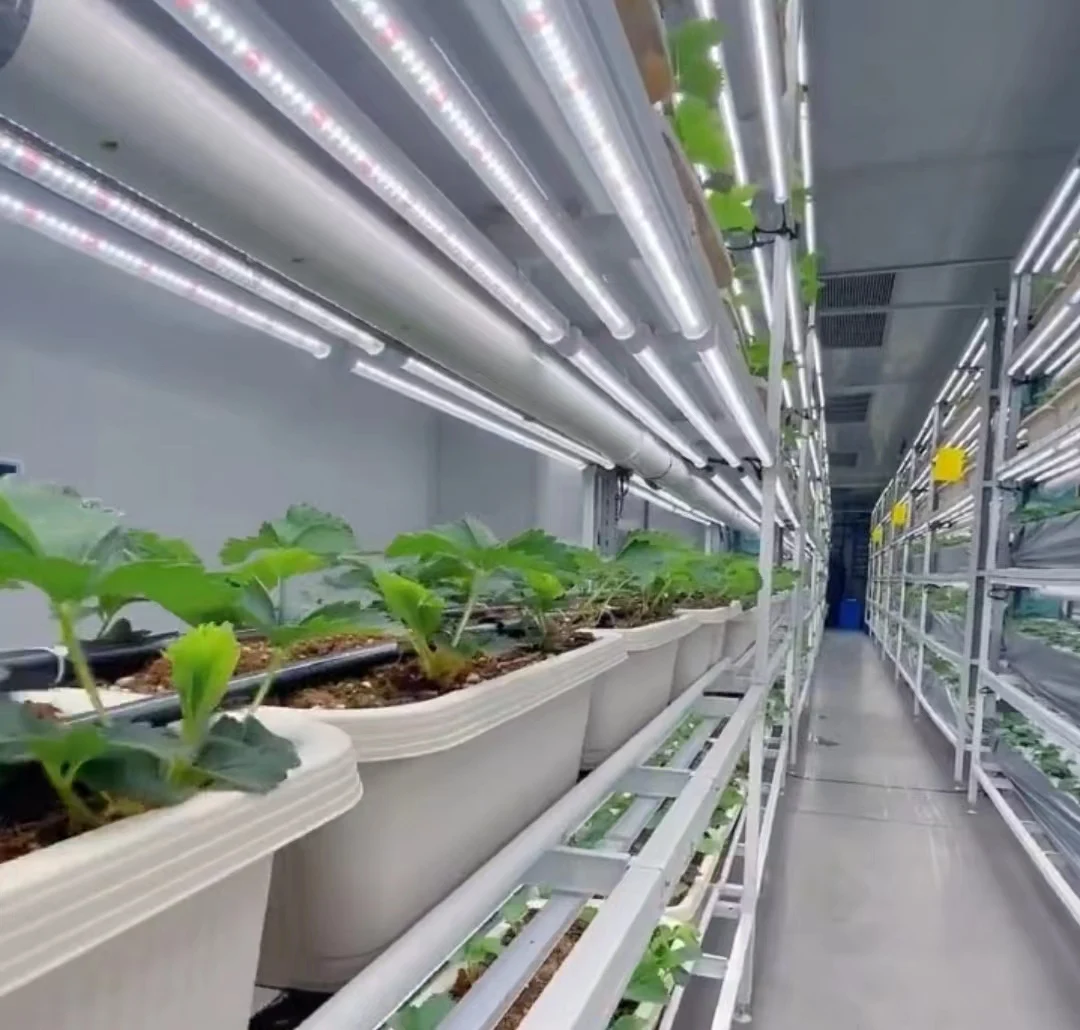 Plant Factory Shipping Container Farm Hydroponics Vertical Farming ...