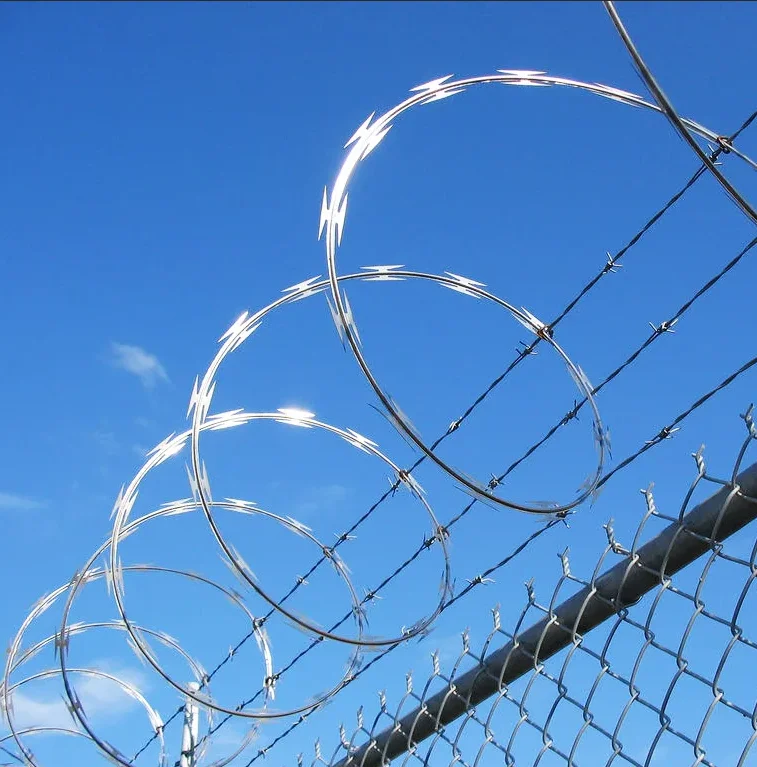 Razor Coil Wire Fences Fencing Netting 500mm Bto 30 Concertina Wire ...