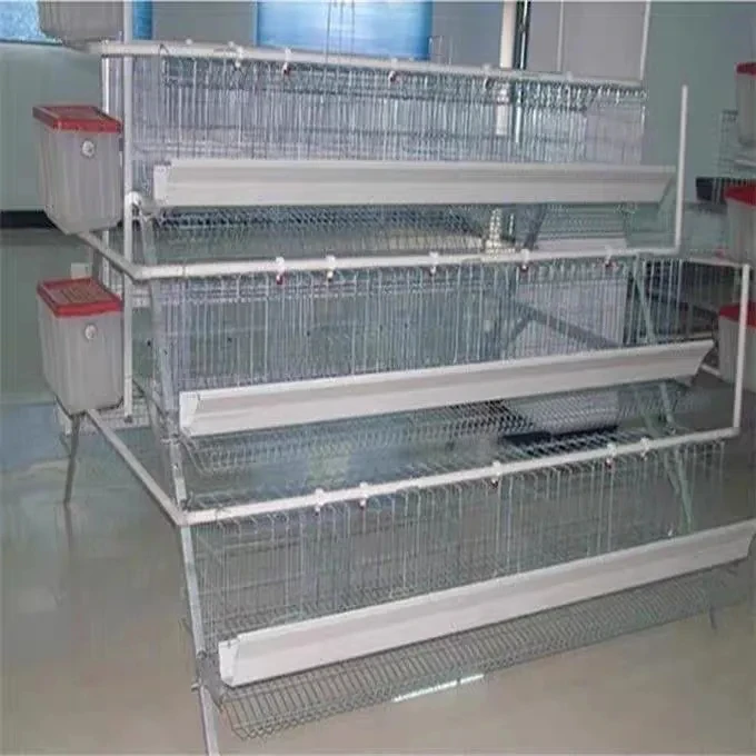 Chicken Cage Layer - Durable & Efficient Breeding Solutions